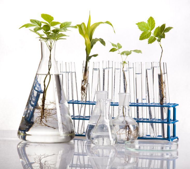 Lab testing and Diagnostic techniques